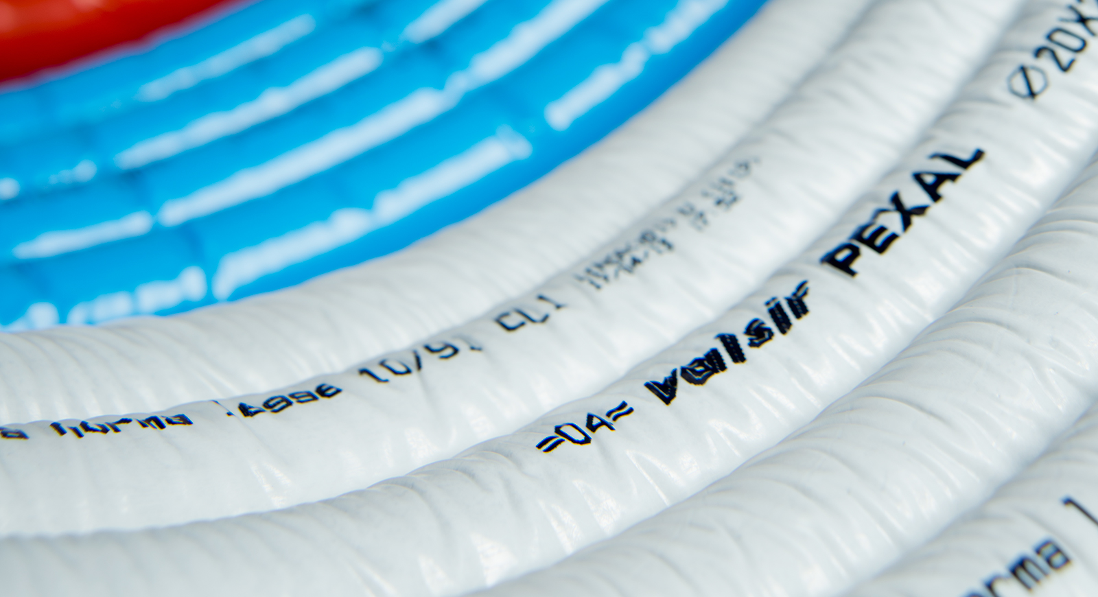 Pexal: the multilayer system of excellence